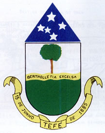 Tefé - Informações sobres o município e a prefeitura