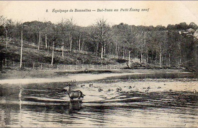 Ville de Bonnelles, la Mairie de Bonnelles et sa commune (78830)