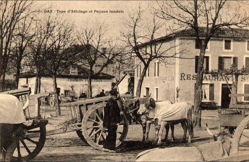 Photos et carte postales anciennes de Dax - Mairie de Dax et sa ville