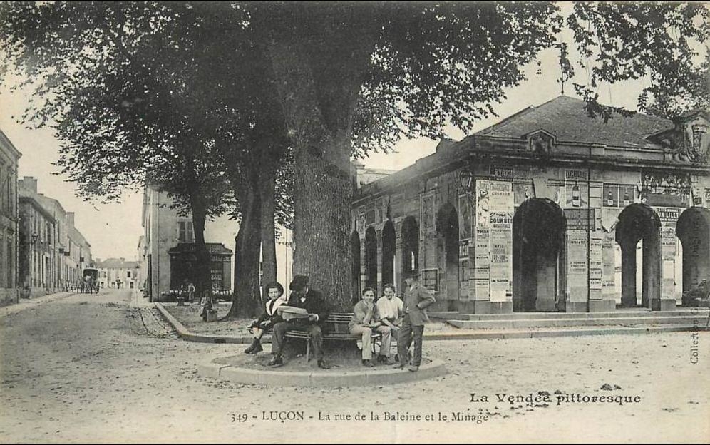 Photos et carte postales anciennes de Luçon - Mairie de Luçon et sa ville