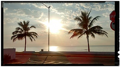 Barra Velha, SC - Informações sobre o município e a prefeitura