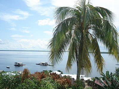 Tefé, AM - Informações sobre o município e a prefeitura