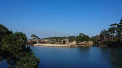 Plages de Lanton - Plage à Lanton - Horaires et adresse